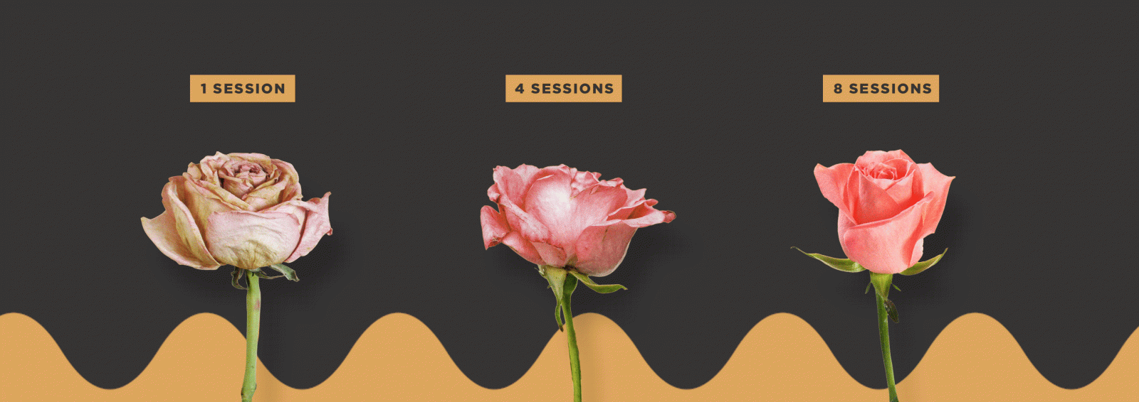 06-rose-sessions - Strip